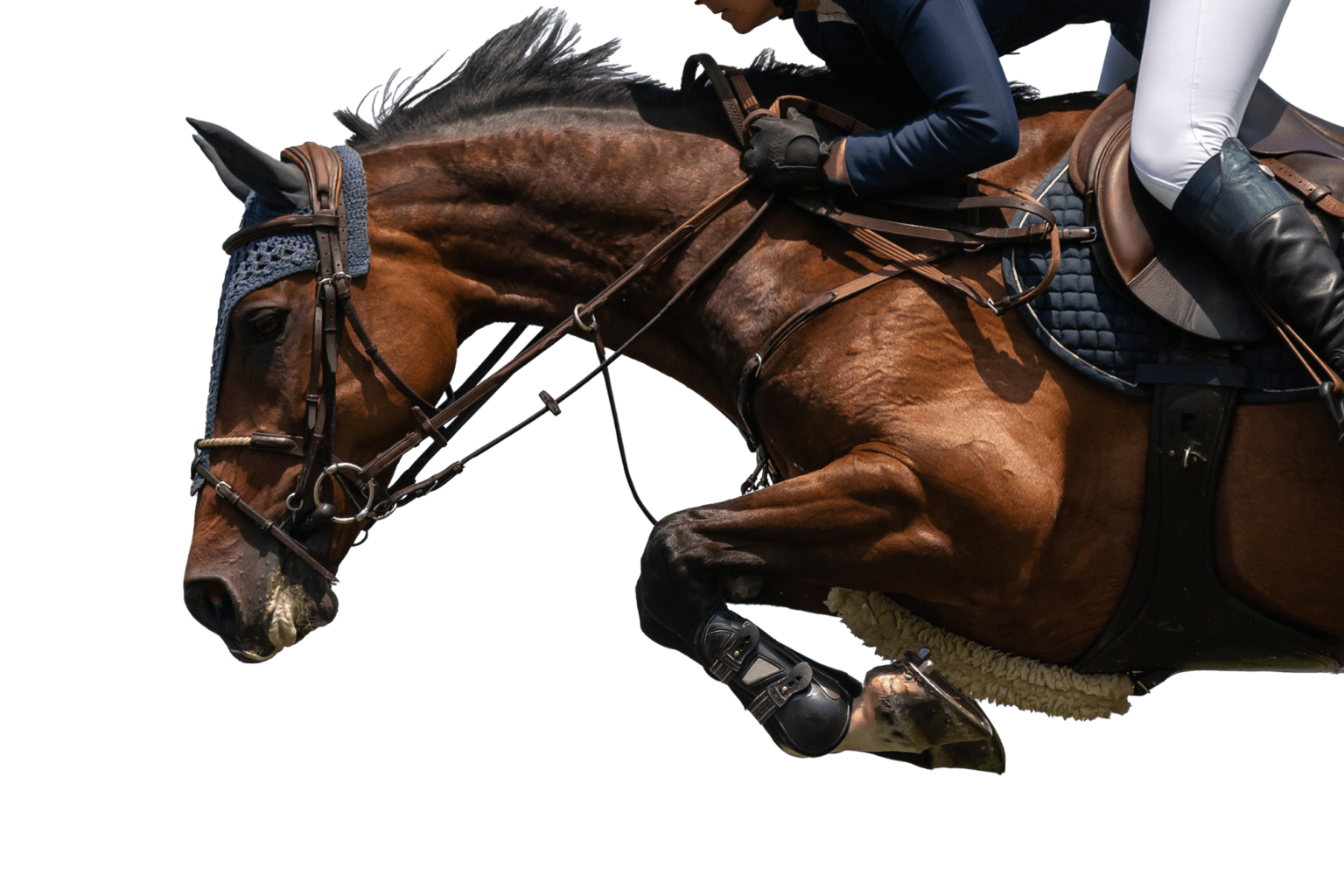 Leading Supplier of Footing for Horse Arenas | GGT Footing