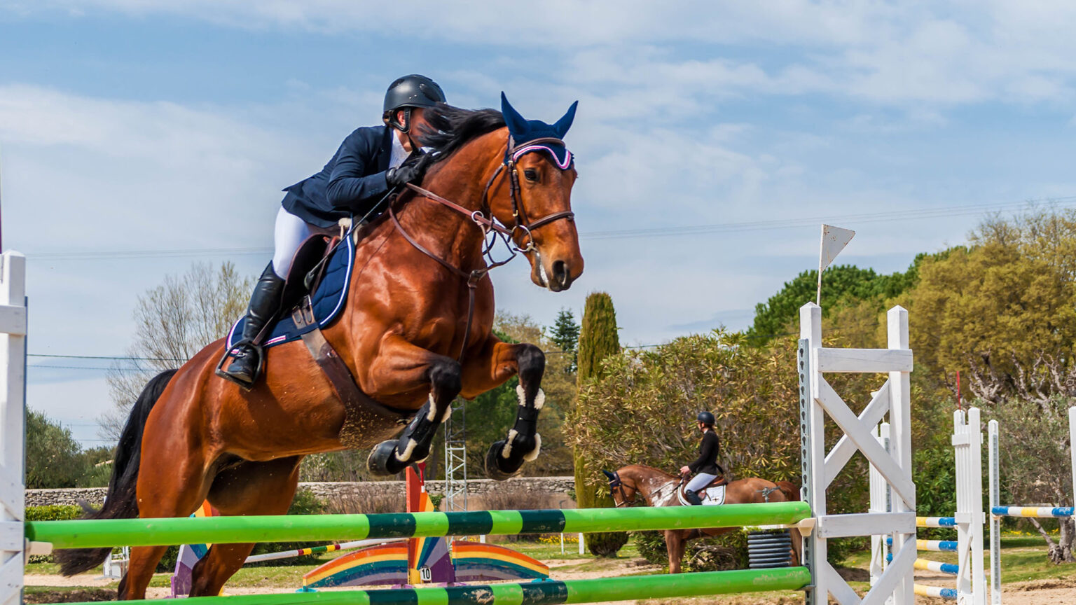 Get a Quote for Your Equestrian Arena Needs | GGT Footing